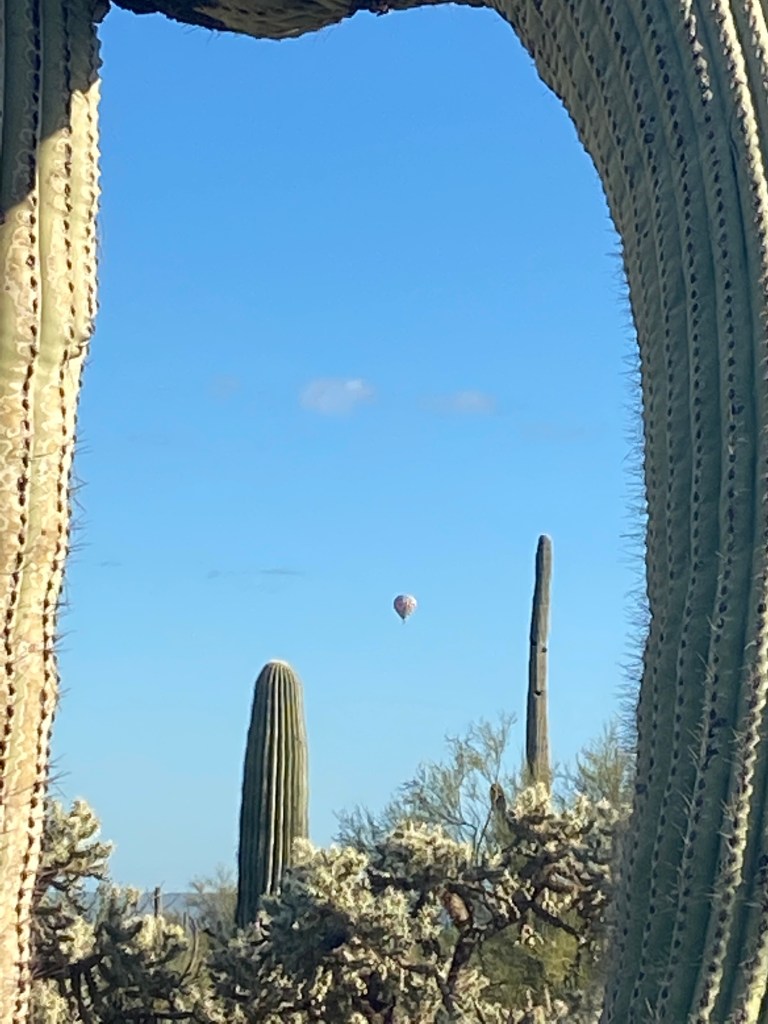 Springing Forward! – The Peyote Lorax